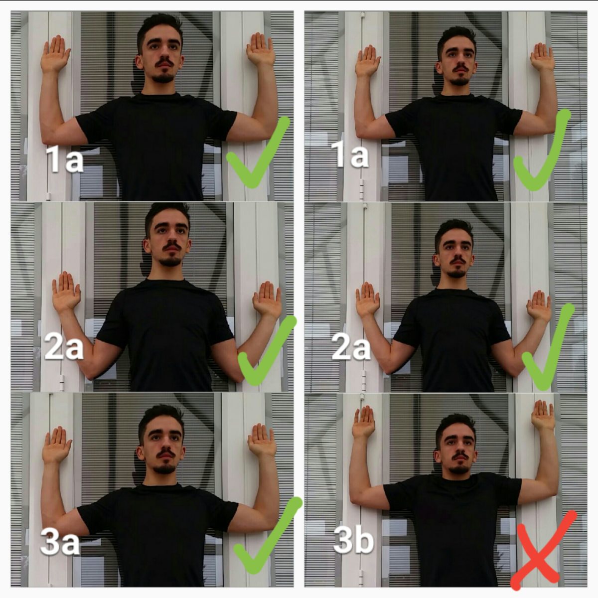 Overhead Mobility Guide for Handstands, Overhead Press and More! – Nick ...