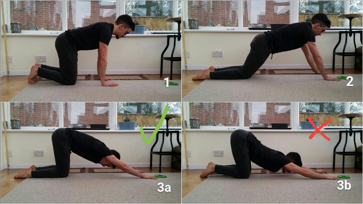 Overhead Mobility Guide for Handstands, Overhead Press and More! – Nick ...