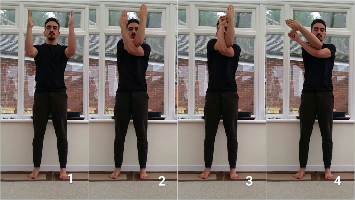 Overhead Mobility Guide for Handstands, Overhead Press and More! – Nick ...