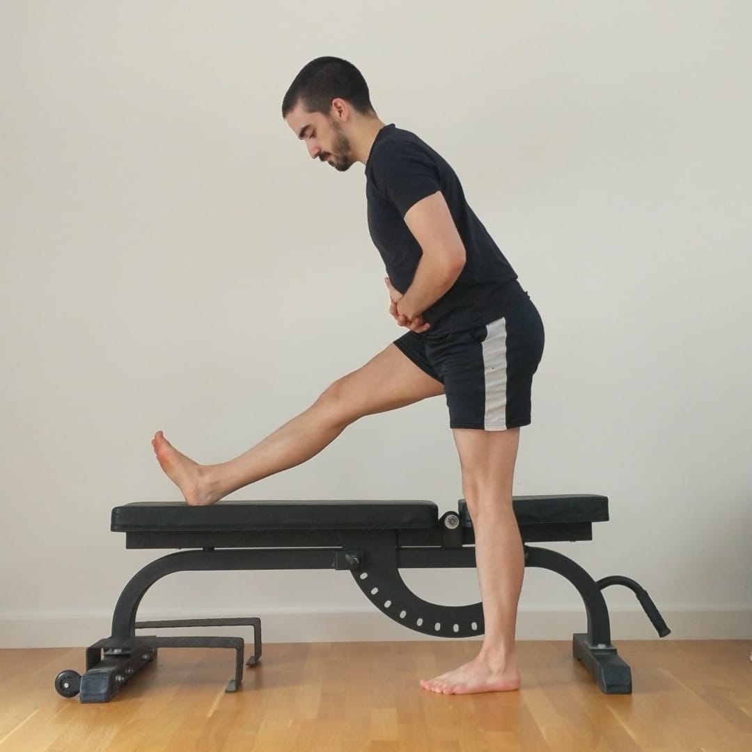 Hips and Thighs (ALL) – nick-e.com